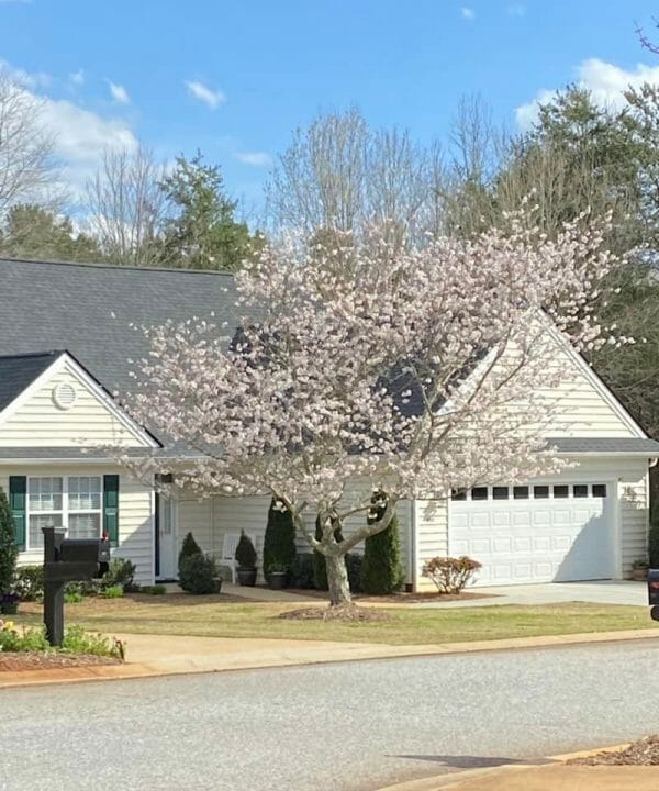 CCRC Retirement Community in Inman, SC | RoseCrest